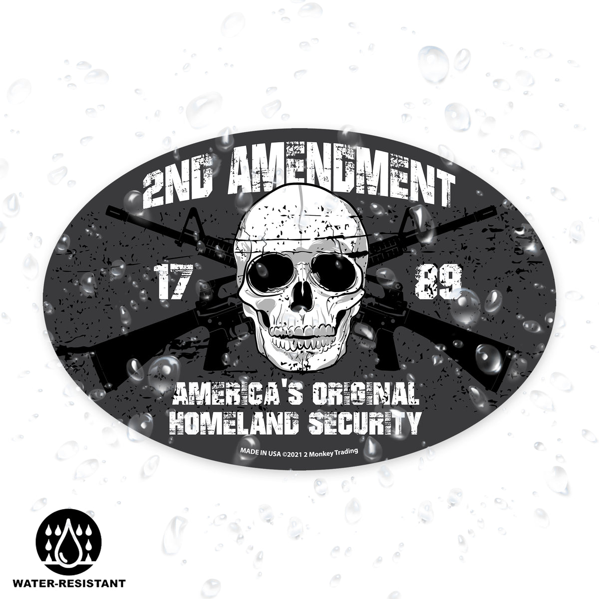 America's Original Homeland Security - Skull and Guns 2nd Amendment 4x ...